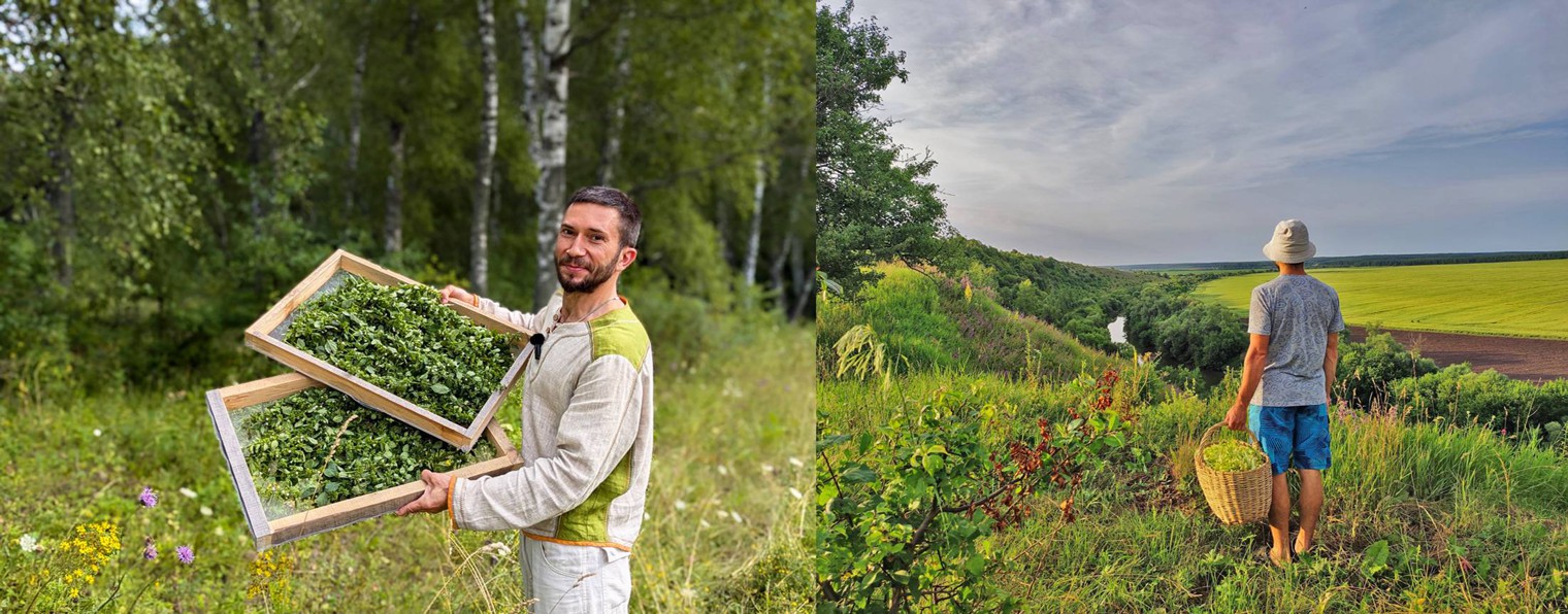 Лёша про Травы