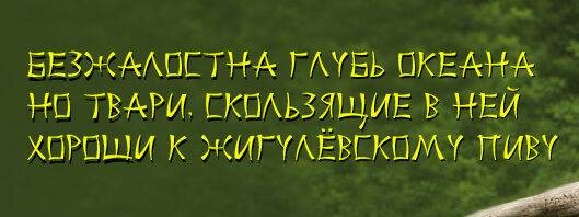 BeerPanda. Органично недоразвитый DevOps.