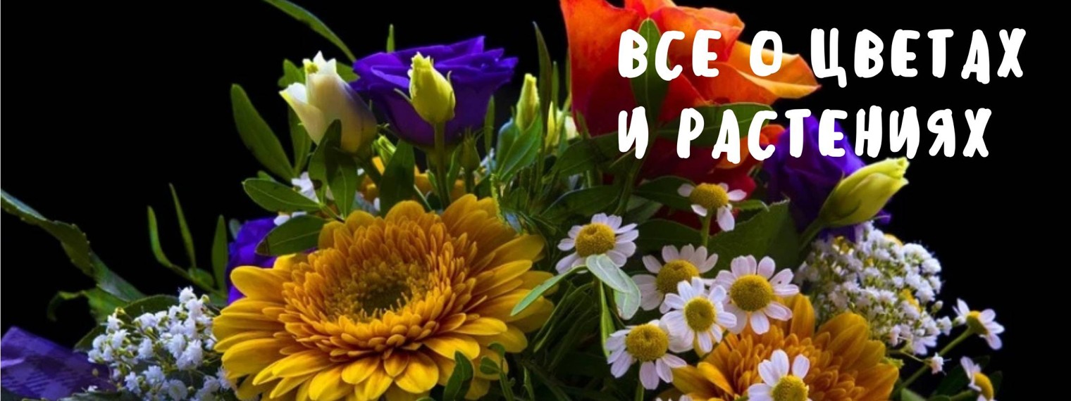 Все о цветах и растениях