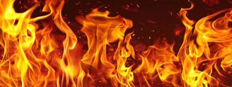 Магия Инги Хосроевой |Ведьмина Изба|Архив