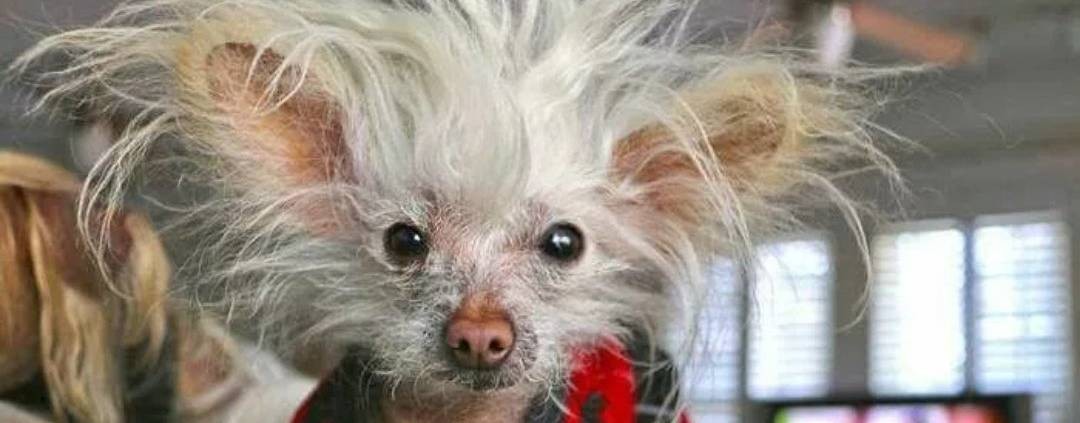 Юмор-Приколы