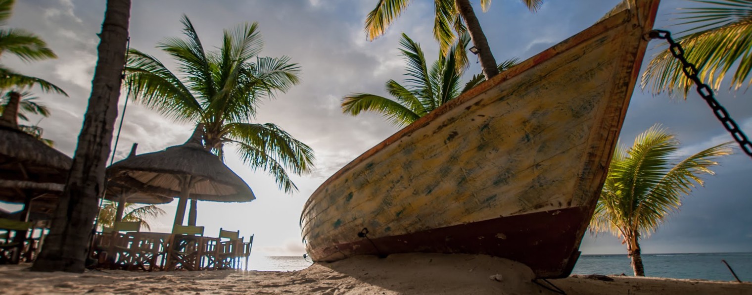 Житуха Ильича