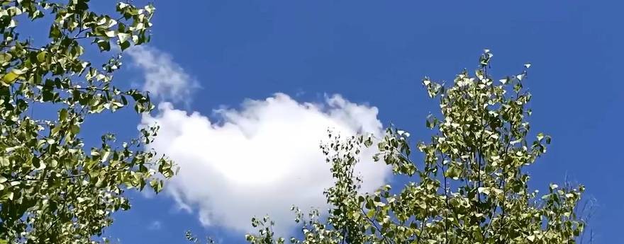 Забайкальский Умелец