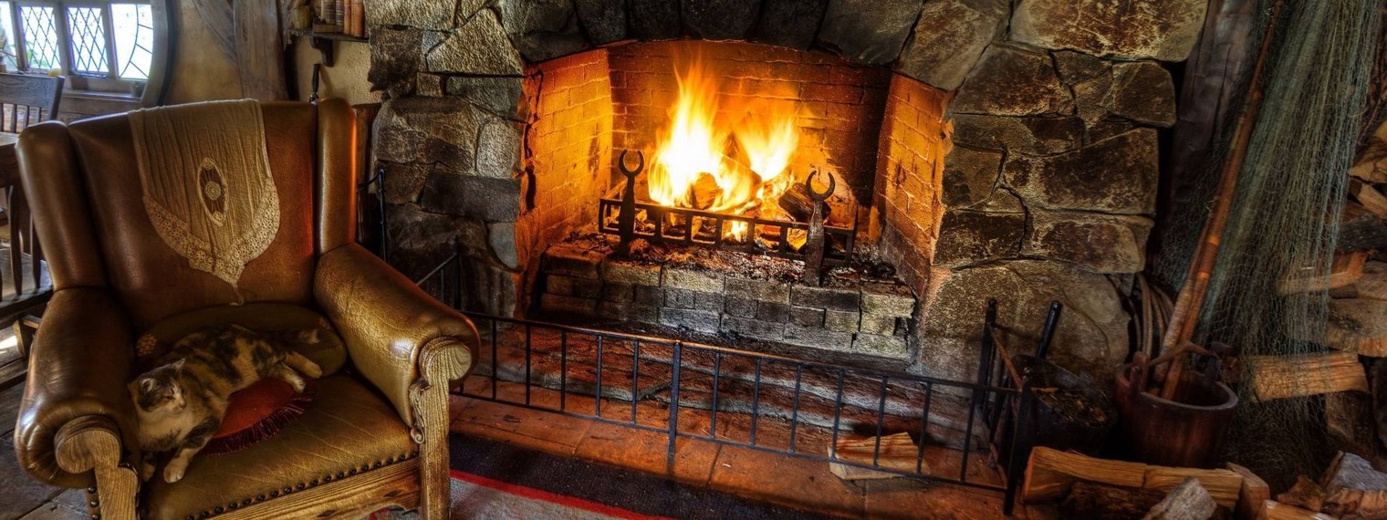 Книжная королева