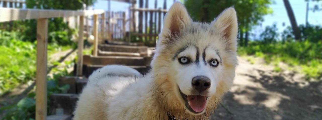 Зооферма Шихово