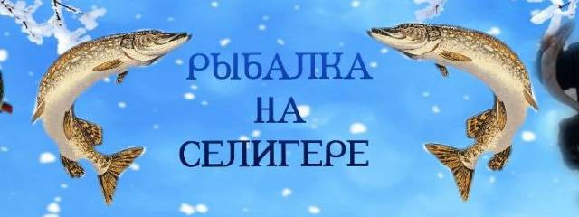 Рыбалка на Селигере