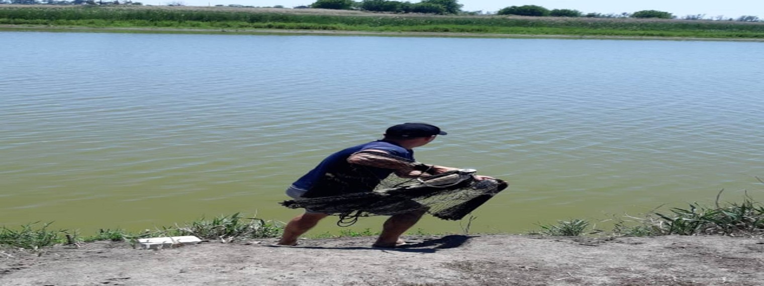 Рыбалка Кастинговой Сетью РФ