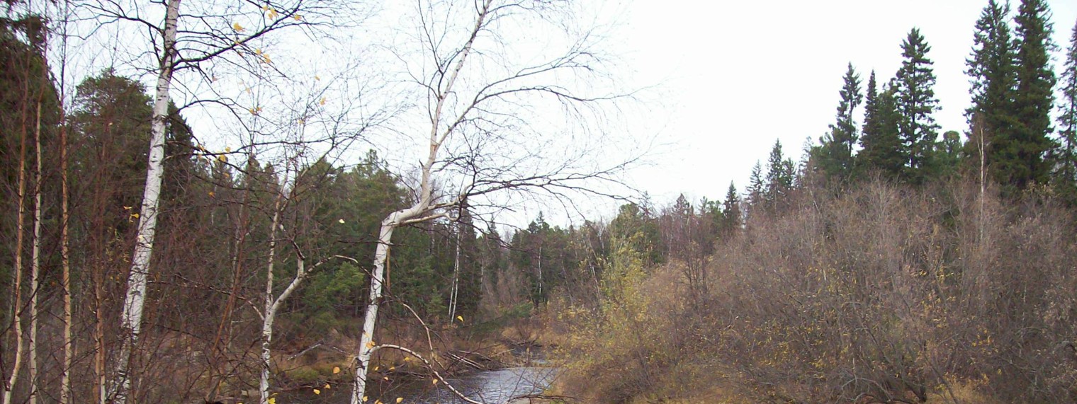 БАЙКИ ОТ ДЕДА ВЛАДИМИРА .