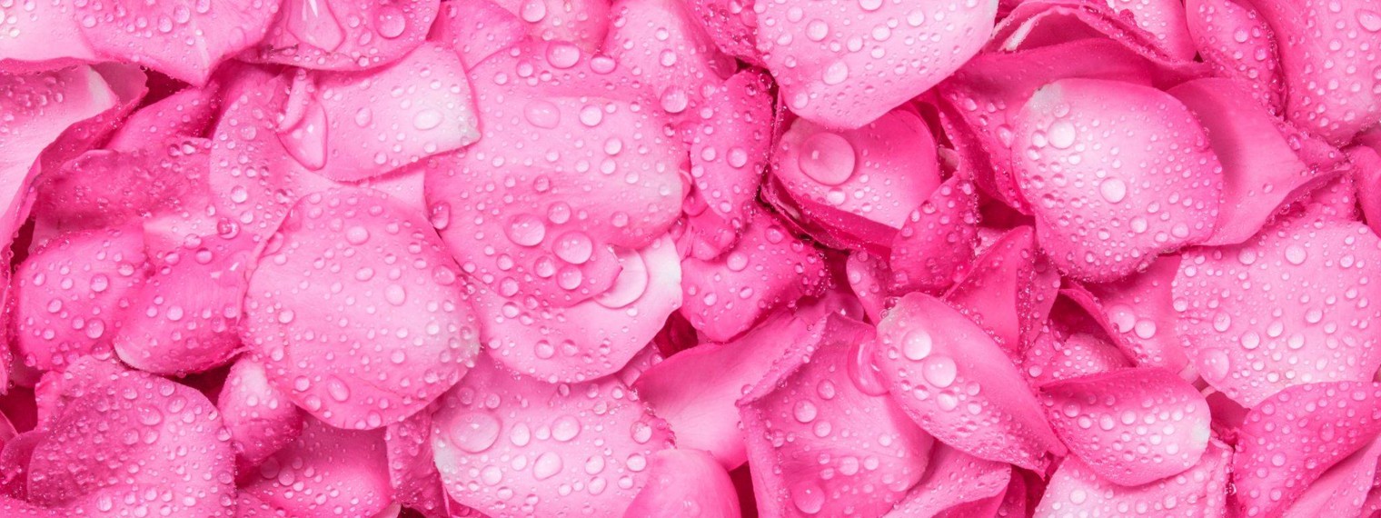 Домашние простые рецепты