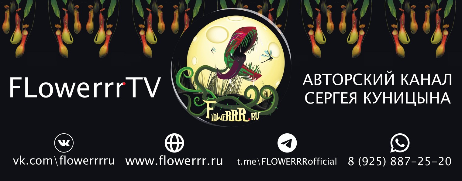 flowerrr.ru