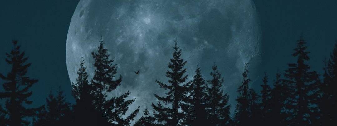 Мирра Таро прогнозы