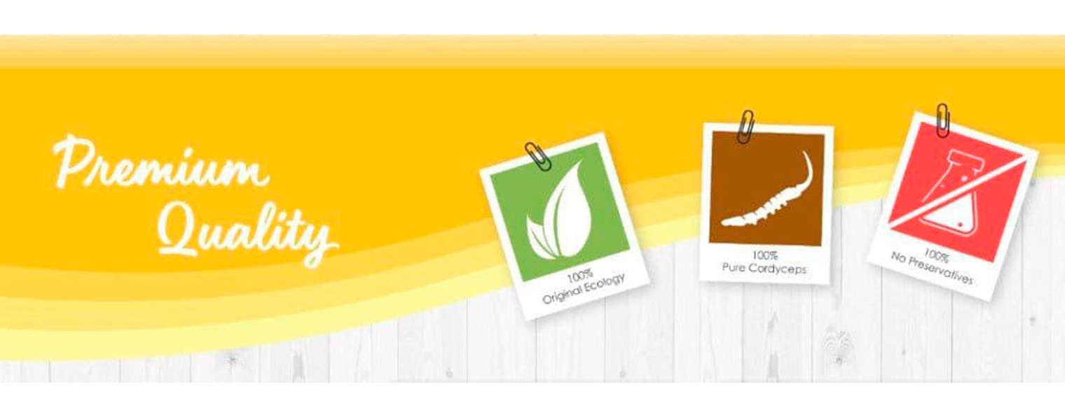 КЛЕТОЧНОЕ ПИТАНИЕ