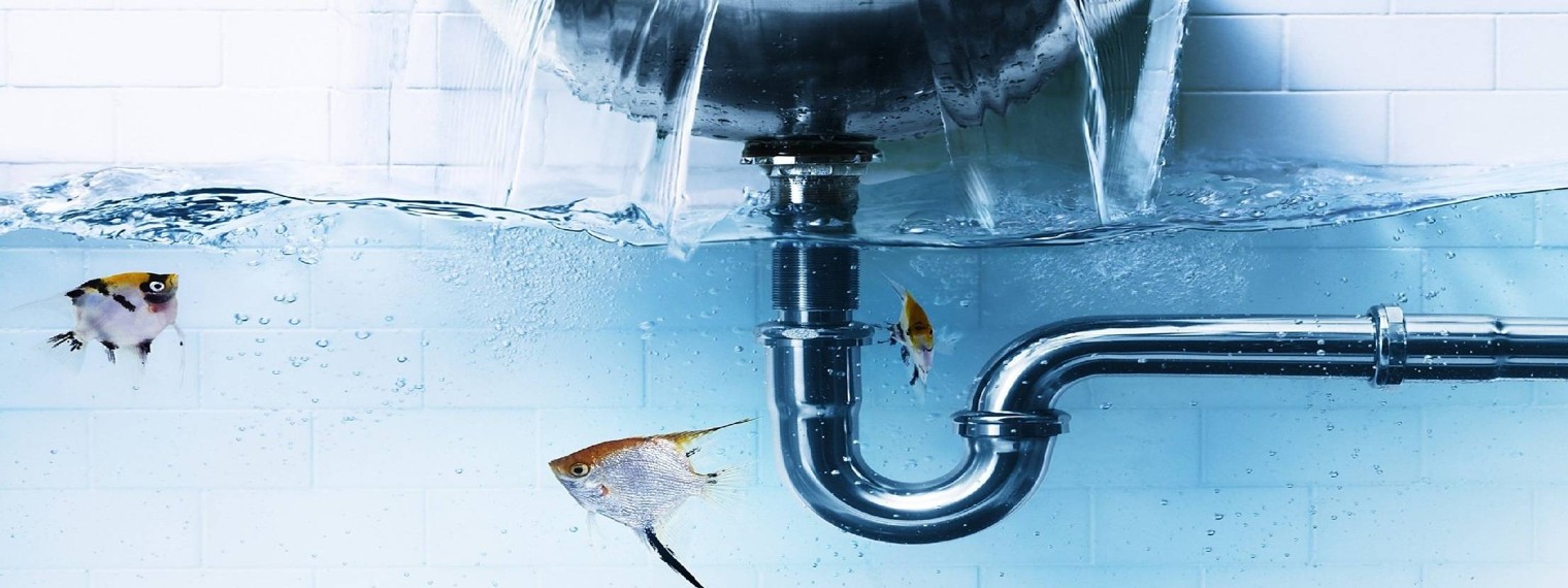 Сантехник-31