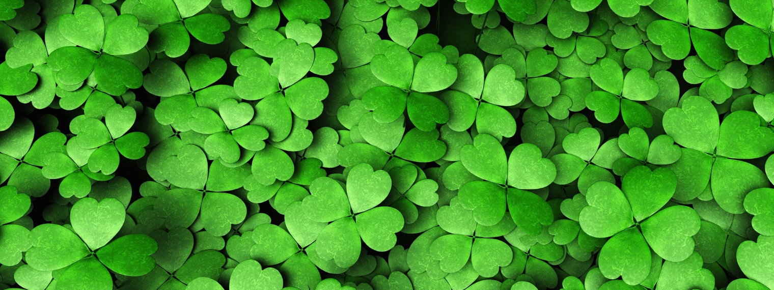 Утренняя Звезда