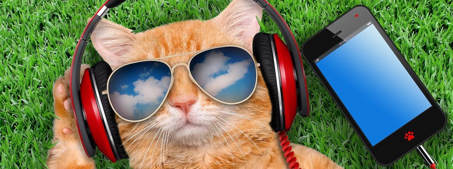 МУЗЫКА ВИДЕО ТОП