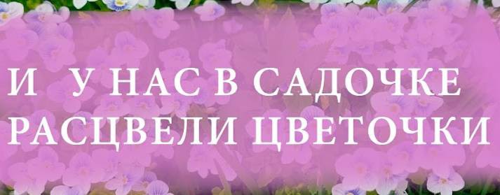 И у нас в садочке расцвели цветочки