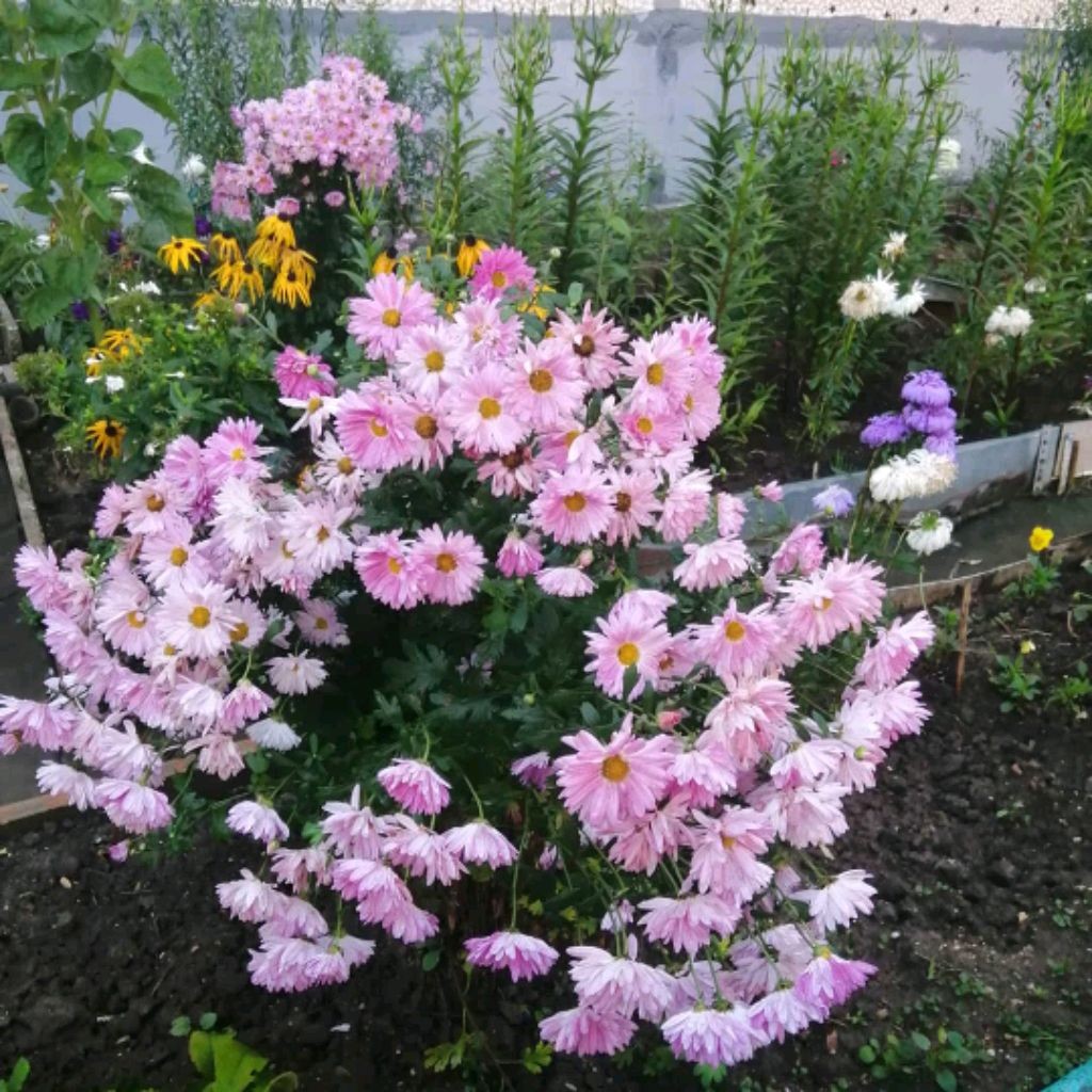 Творчество И Хобби.🧶🔮