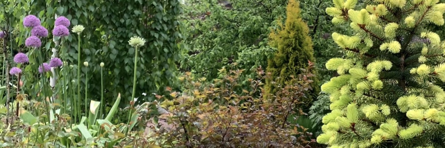 Зеленое сердце  💚 Анна Муравьева