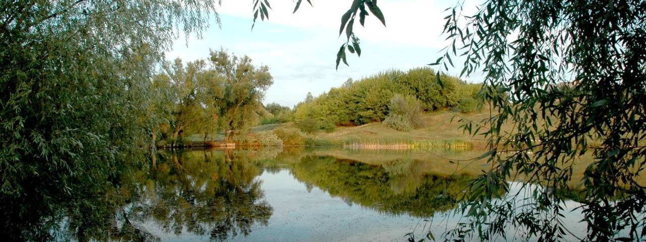 Крестьянская усадьба Многая лета