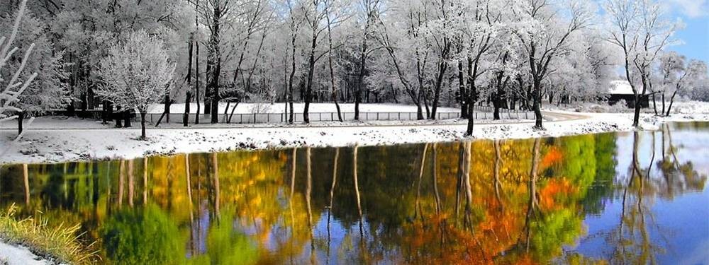 Южанин с Севера