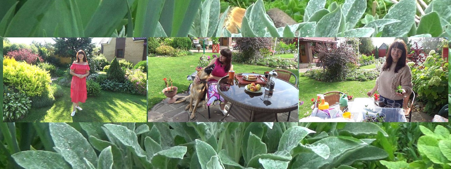 СУПЕР - ОТПУСК на ДАЧЕ