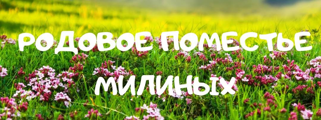 РОДОВОЕ ПОМЕСТЬЕ МИЛИНЫХ