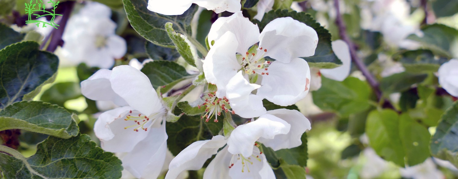 Живая природа | Павел Релаксик