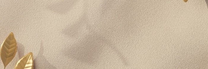 Женский клуб «Богатая Леди»