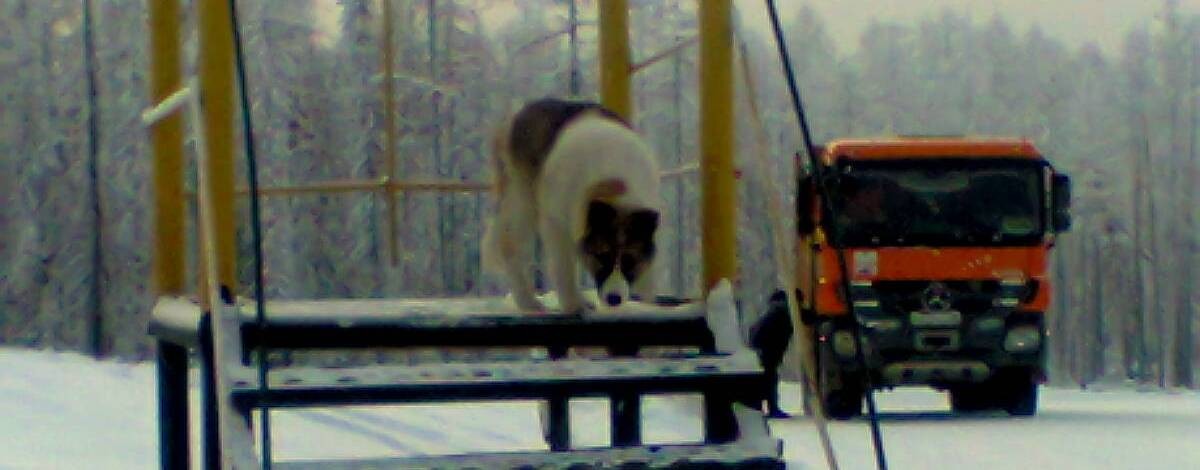 Бизнес-музыкальный, информационный.