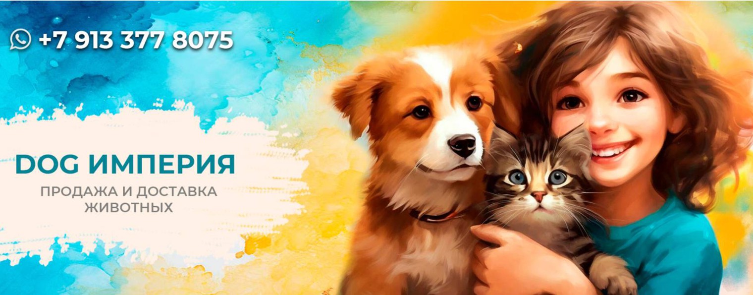 Dog Империя