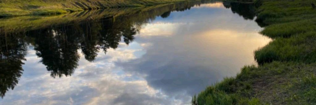 Виноградов Андрей