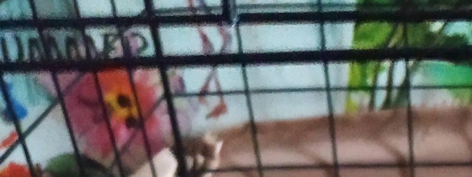 Красивые причёски