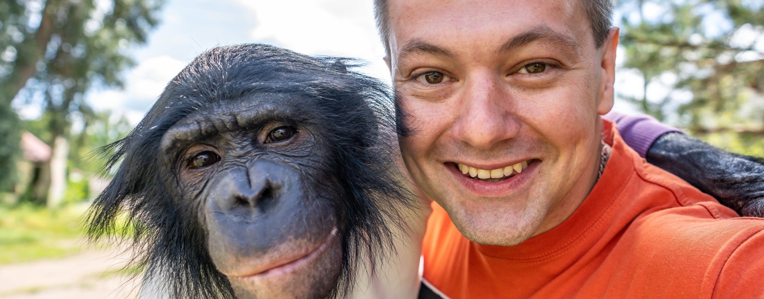 Влог Папы Шимпанзе