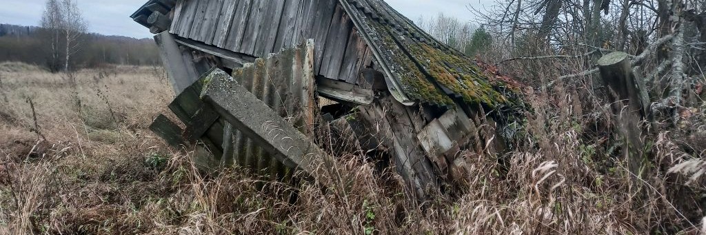 ОДИН В ЛЕСУ.