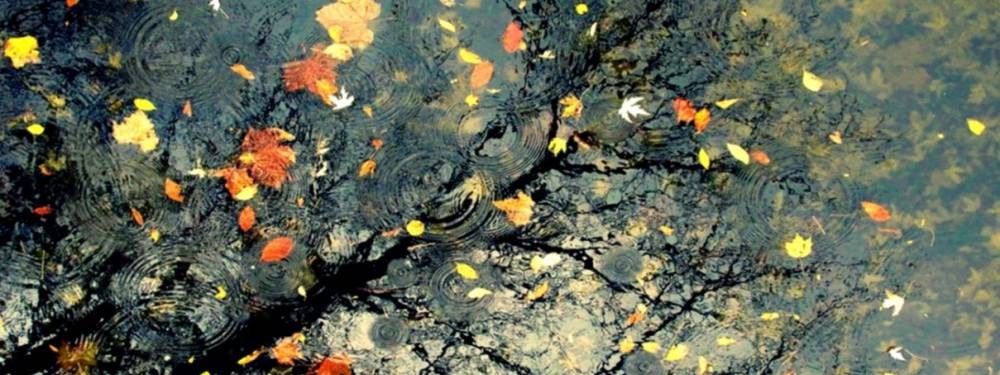 Препятствий.net