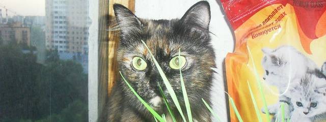 Заходи на огонёк