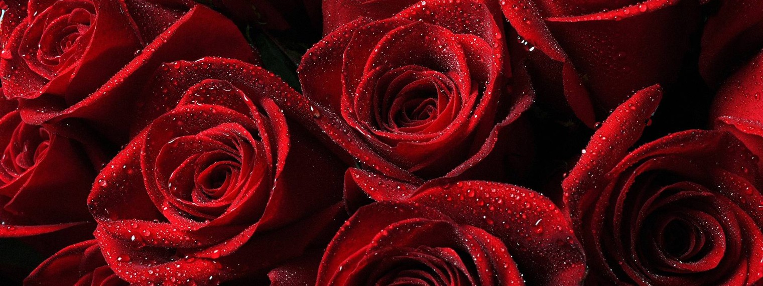 Анна Горшкова