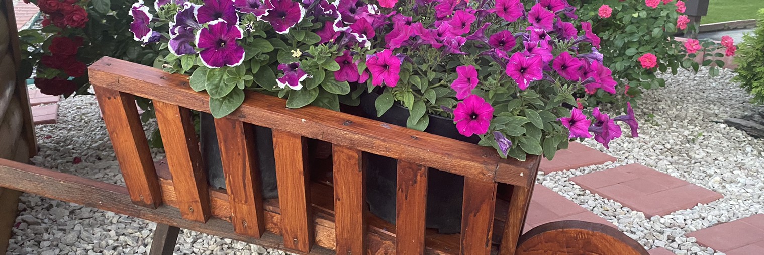 НовоДачники