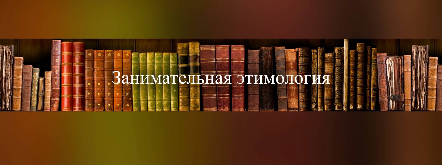 Занимательная этимология
