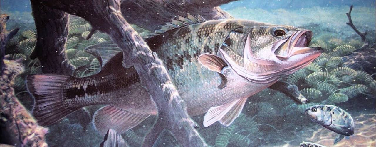 Слово рыбака. Щука на крючке