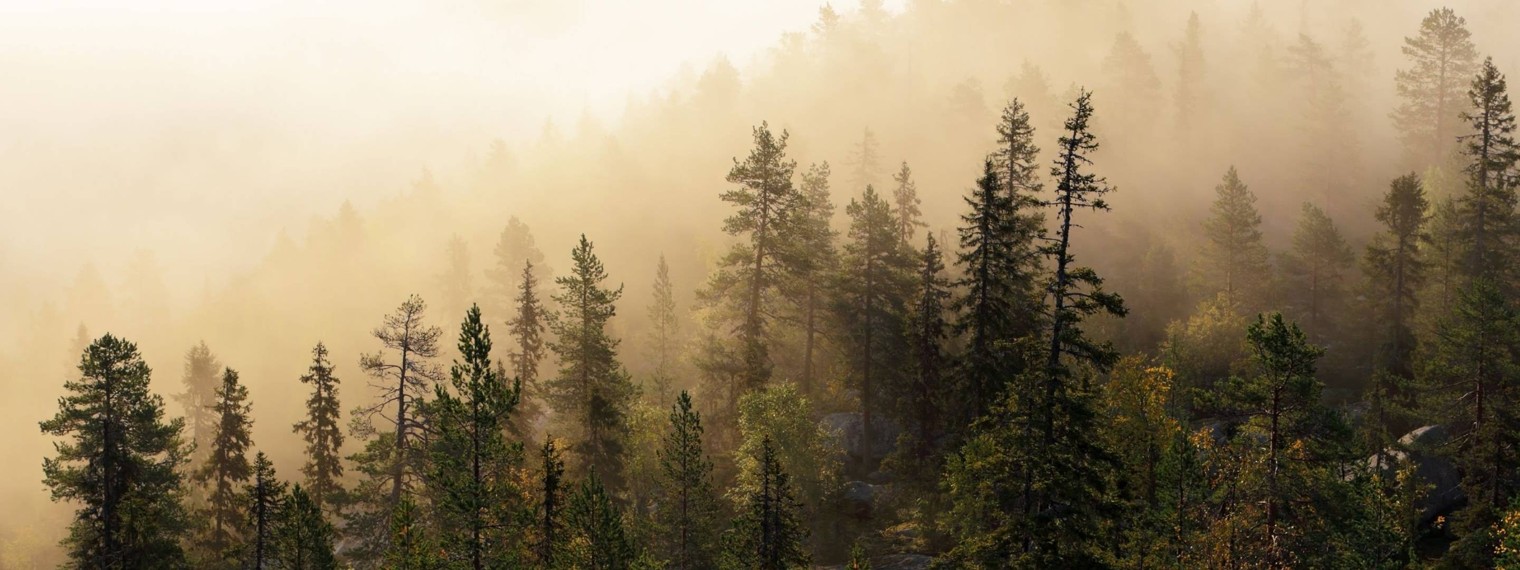 Официальный канал Администрации г. Пыть-Ях