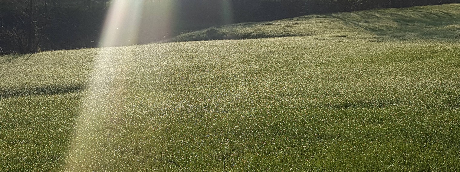 Народная книга