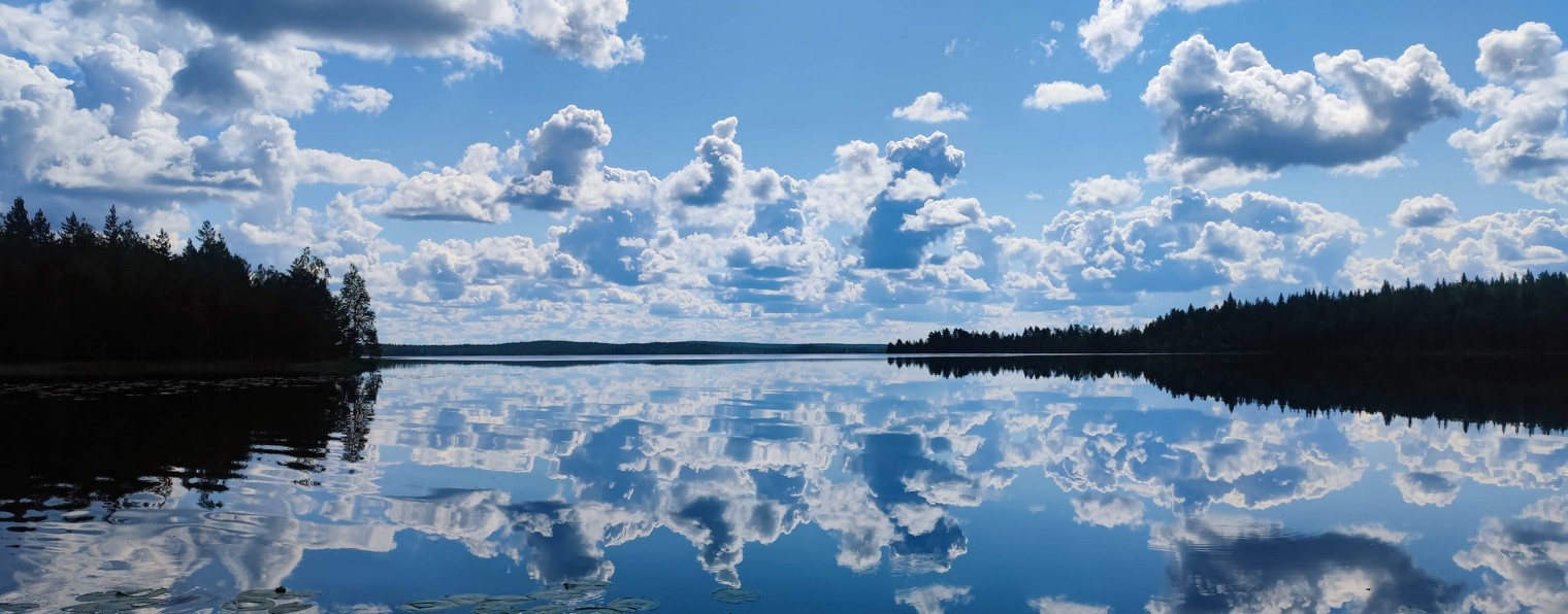 Мысли вслух