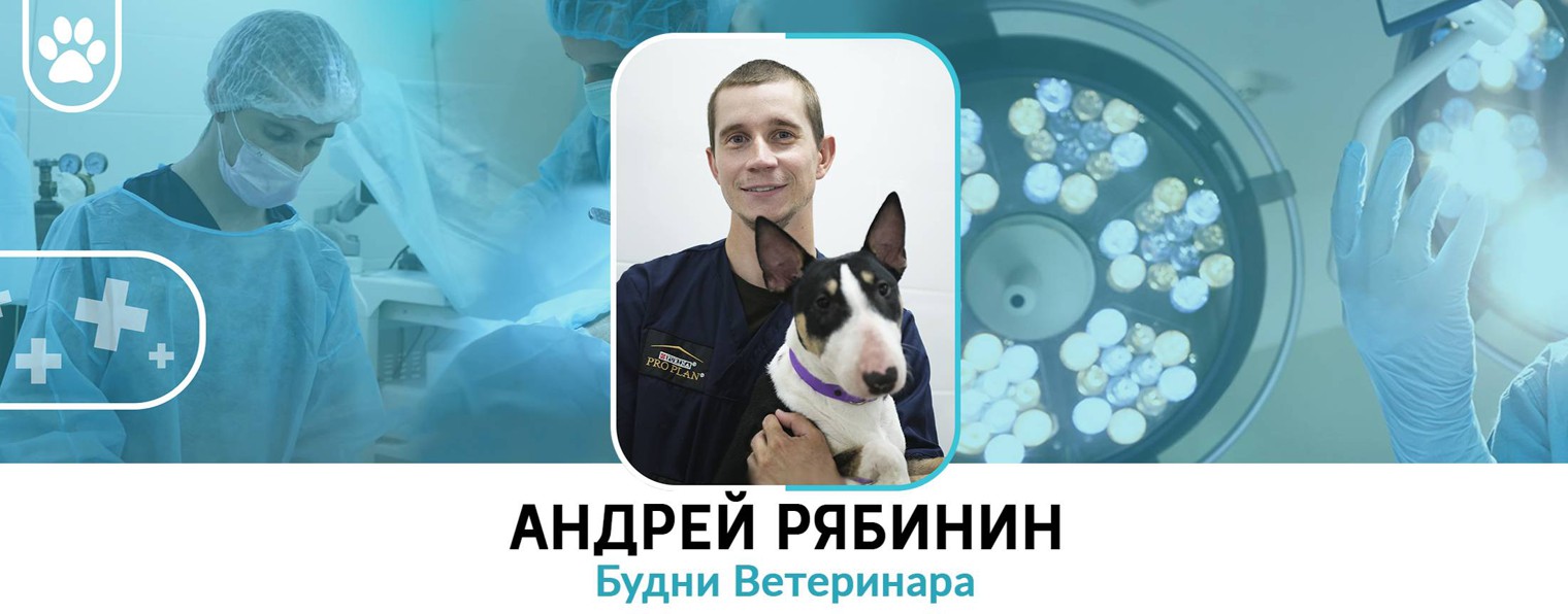 Будни Ветеринара / Рябинин Андрей