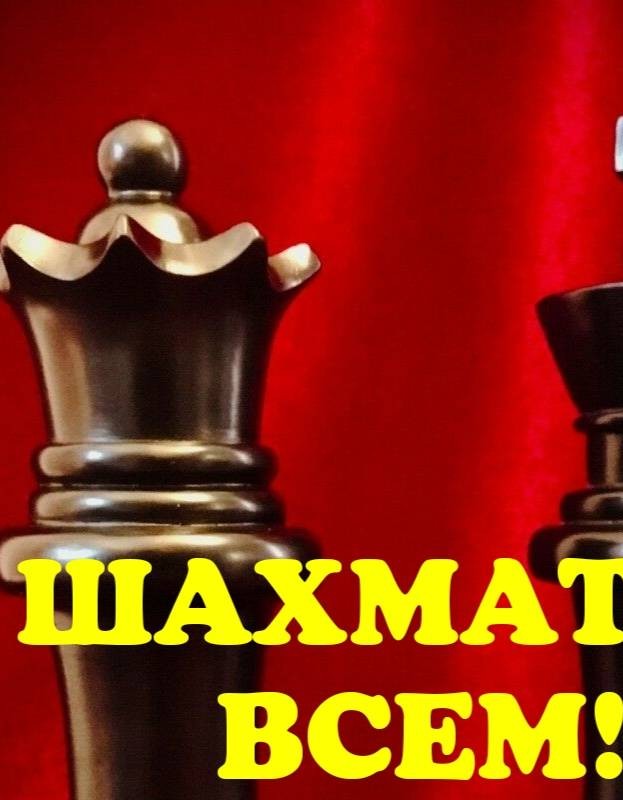 Шахматы всем! Шахматы