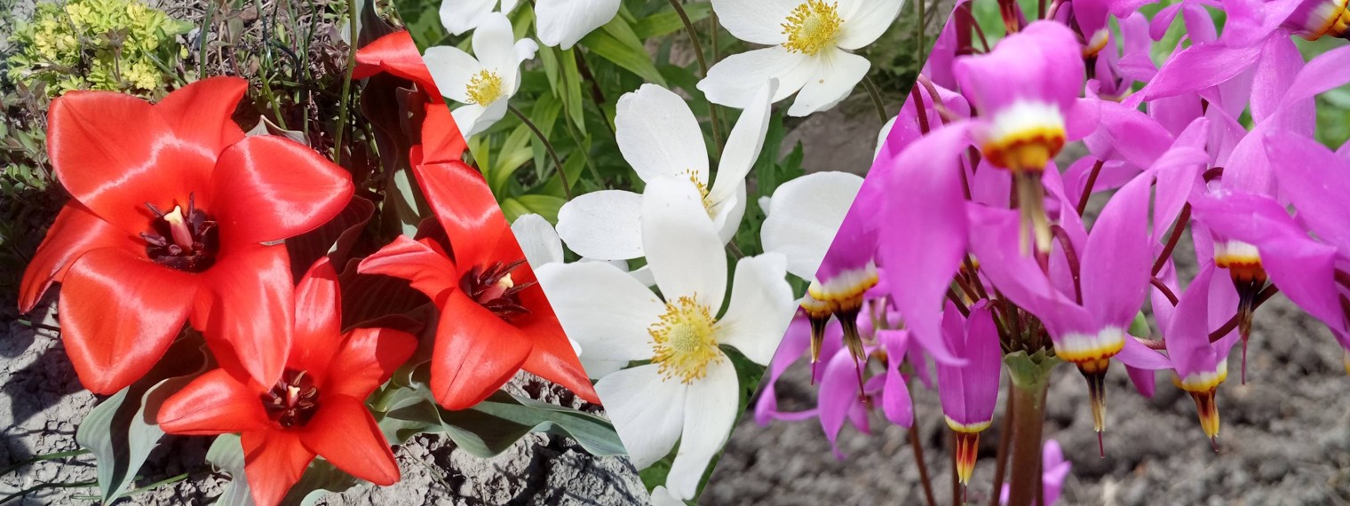 Любимые сотки