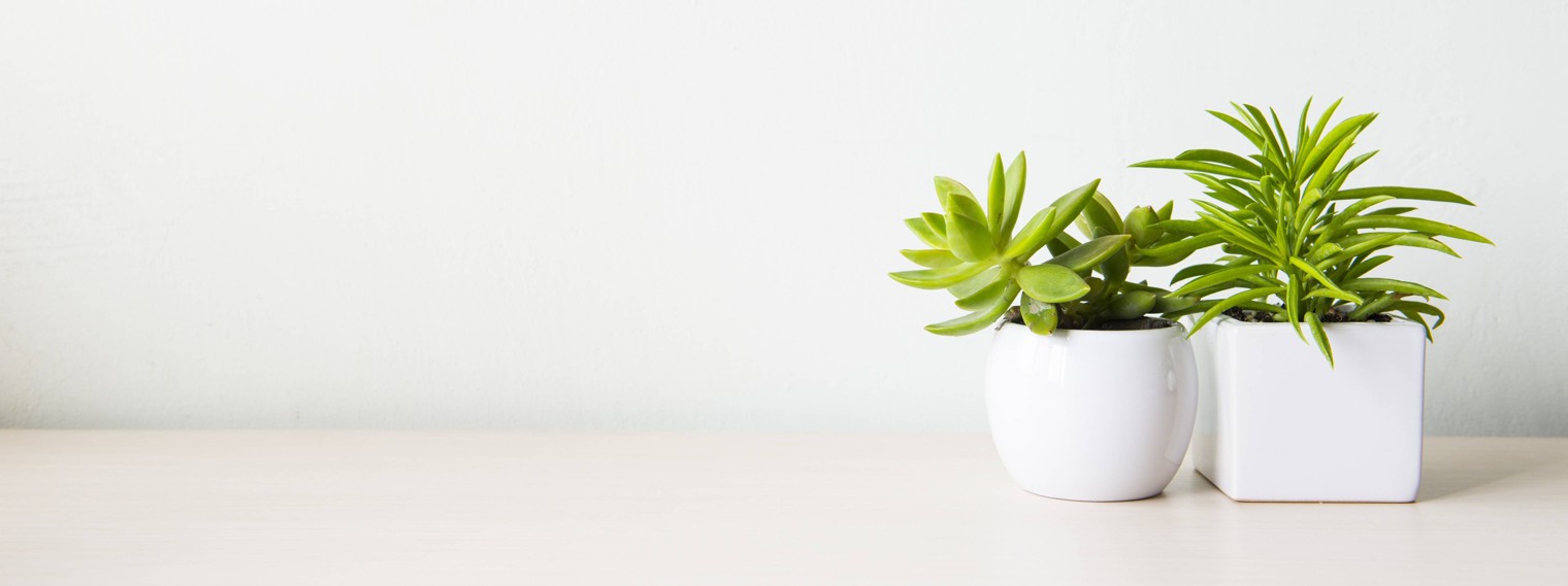 На земле инфо