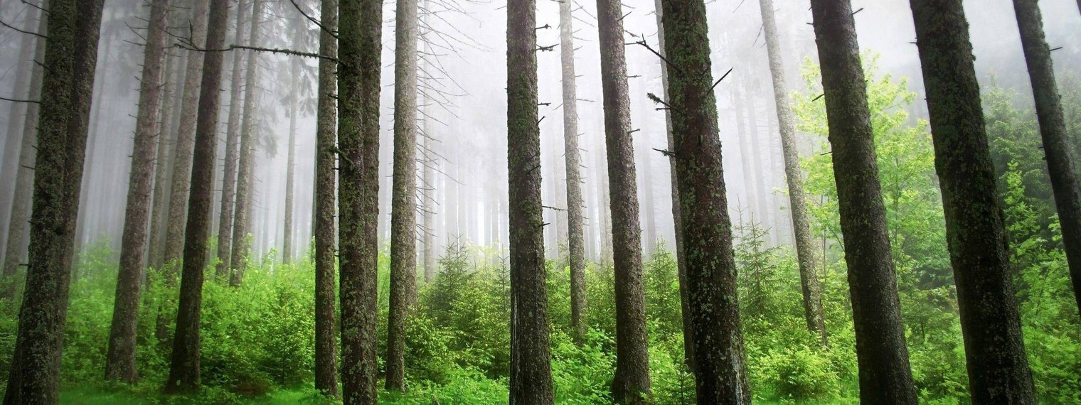 Андрей Куценко