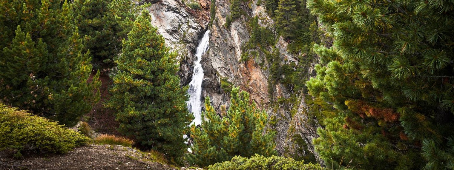 Обо всем понемногу