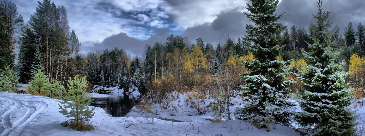 "Бродяга - странник"